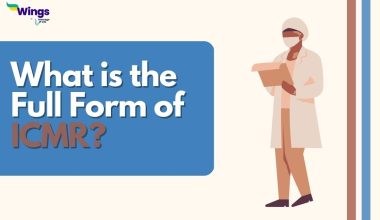 What is the Full Form of MSCIT?