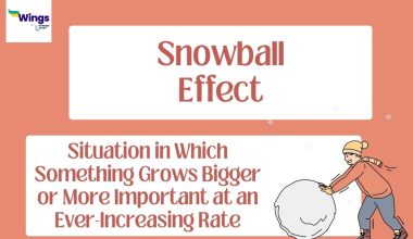 9+ Synonyms of Explore, Meaning, Examples, Quizzes
