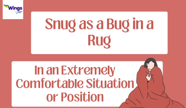 What are Progressive Verb Tenses: A Guide to Continuous Verb Forms