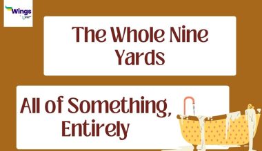 Noun of Various: Meanings, Synonyms, and Examples | Leverage Edu