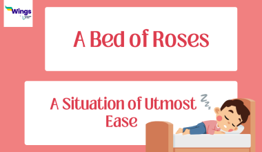 11+ Antonyms of Depression, Meaning and Examples