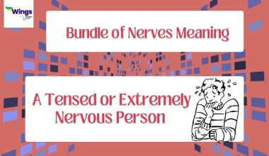 11+ Antonyms of Increase with Examples and Usage