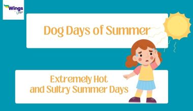 9+ Antonyms of Reality, Meaning and Examples