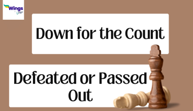 8 Types of Nouns You Must Know [with Definitions & Examples]