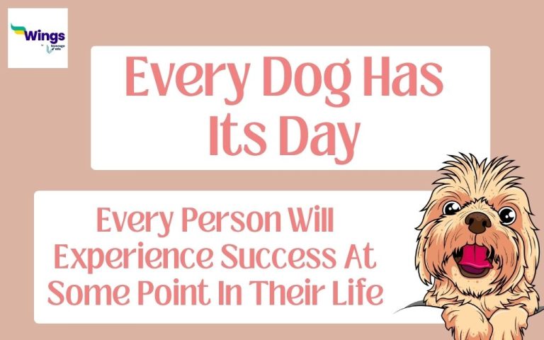 Every Dog Has Its Day Meaning, Examples, Synonyms | Leverage Edu