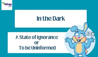 Adjective Clause: Types, Examples with Usage & Exercises | Leverage Edu