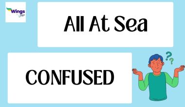 6 Types of Proverbs: Know Definition, Examples & More | Leverage Edu