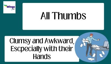 19+ Compound Conjunction Examples That Can Be Used! | Leverage Edu