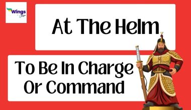 9+ Antonyms of Important with Examples and Usage