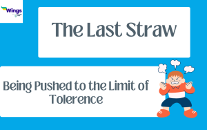 The Last Straw Meaning, Usage With Examples, Synonyms and Quiz | Leverage Edu