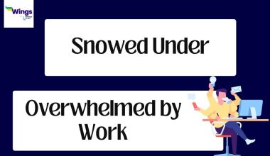 9+ Antonyms of Important with Examples and Usage