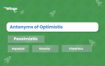 7+ Antonyms of Optimistic, Meaning and Examples Leverage Edu