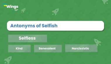 What is the Noun of Grow: Check the Meaning, Synonyms & Examples ...