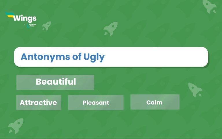 Antonyms of Ugly with Meaning and Examples