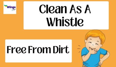11+ Adjectives for Air to Describe Atmosphere around You! | Leverage Edu