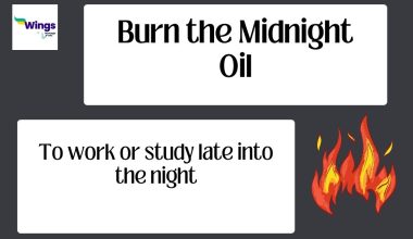 What is the Noun for Decide: Meaning, Synonyms, & Examples | Leverage Edu