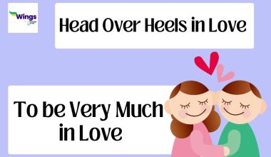 Proverbs Exercises with Answers for Students that You Must Try! | Leverage Edu