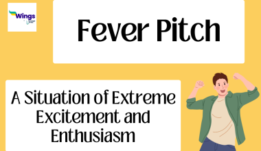 What is the Noun of Die: Check Meaning, Synonyms, Origin, Example ...