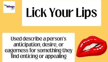 What is the Noun of Rely: Check the Meaning, Synonyms & Examples | Leverage Edu