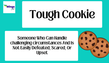 11+ Antonyms of Logical, with Meanings & Example | Leverage Edu