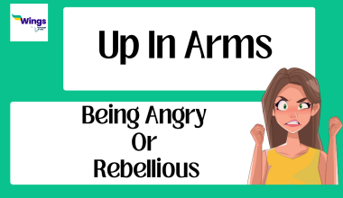 11+ Antonyms of Hide, with Meanings & Examples | Leverage Edu