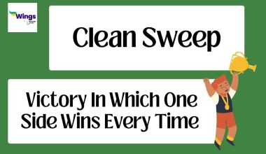 Top 10 Idioms for Appreciation That You Should Know! |Leverage Edu