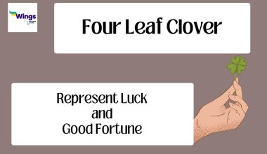 9+ Synonyms of Explore, Meaning, Examples, Quizzes