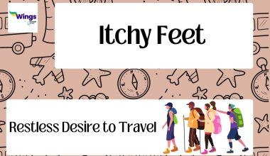 11+ Antonyms of Tall, Meaning and Examples