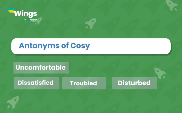 9+ Antonyms of Cosy with Meaning and Examples | Leverage Edu