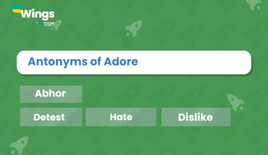 Antonyms of Love with Meaning and Examples | Leverage Edu