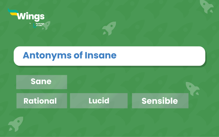 11+ Antonyms of Insane, Meaning and Examples