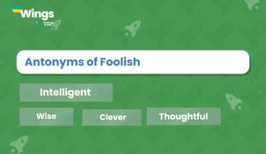 9+ Antonyms of Discipline, with Meanings & Examples | Leverage Edu