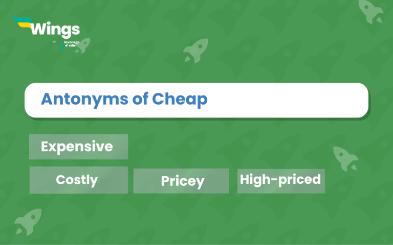 11+ Antonyms of Cheap, Meaning and Examples