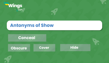 11+ Antonyms of Transient, Meaning and Examples