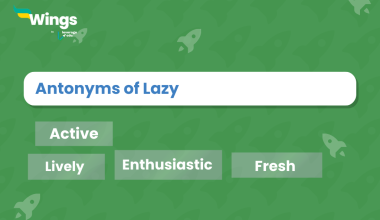 Top 10 Proverbs about Ants with Explanation | Leverage Edu