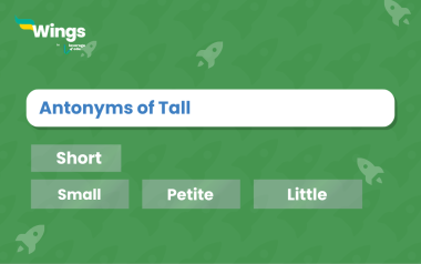 11+ Antonyms of Tall, Meaning and Examples
