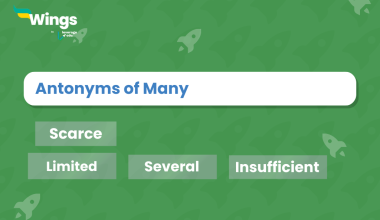 7+ Antonyms of Bachelor with Meanings and Examples