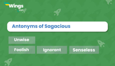 13+ Antonyms of Cruel, with Meaning and Examples | Leverage Edu