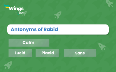 11+ Antonyms of Rabid, Meaning and Examples