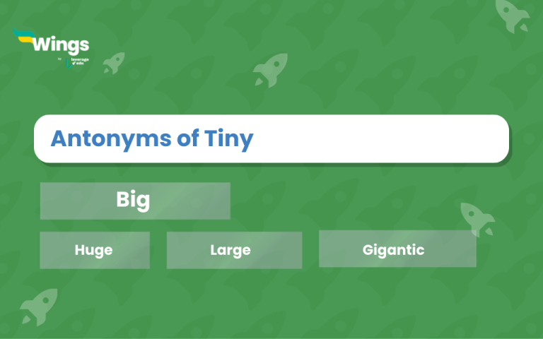 Antonyms of Tiny, Meaning and Examples