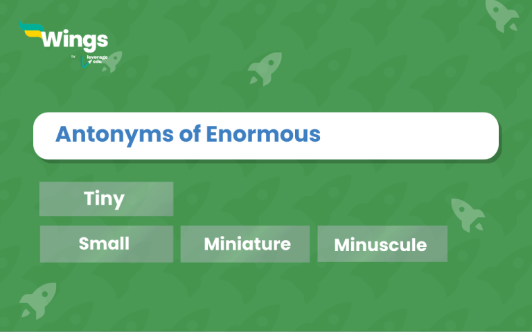 11+ Antonyms of Enormous, Meaning and Examples