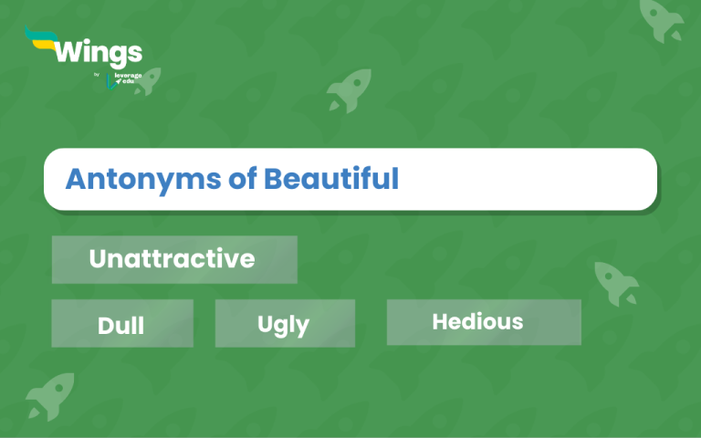 7+ Antonyms of Beautiful with Meaning and Examples | Leverage Edu