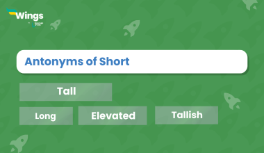 11+ Antonyms of Active, Meaning and Examples