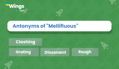 17+ Antonyms of Wisdom, Meaning and Examples