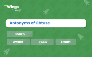 +7 “Obtuse” Antonyms with Meaning and Examples | Leverage Edu
