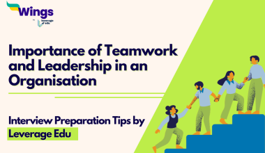 Team Work vs Individual Work | Leverage Edu