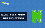 99+ Adjectives Starting With The Letter N: Meanings & Examples ...