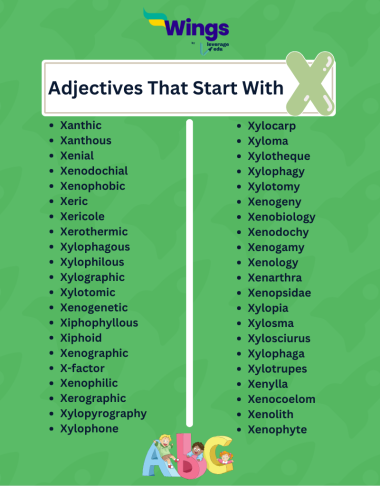 50+ Adjectives Starting With X with Meaning and Examples | Leverage Edu