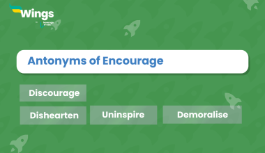 What is the Noun of Hungry? Meaning, Examples, and More | Leverage Edu