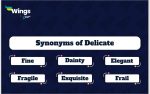 9+ Delicate Synonyms with Meaning and Example | Leverage Edu